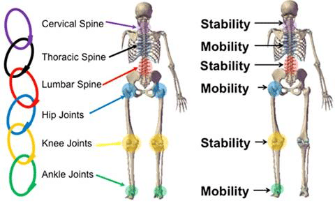 Developing fundamental movement skills in tennis players ...